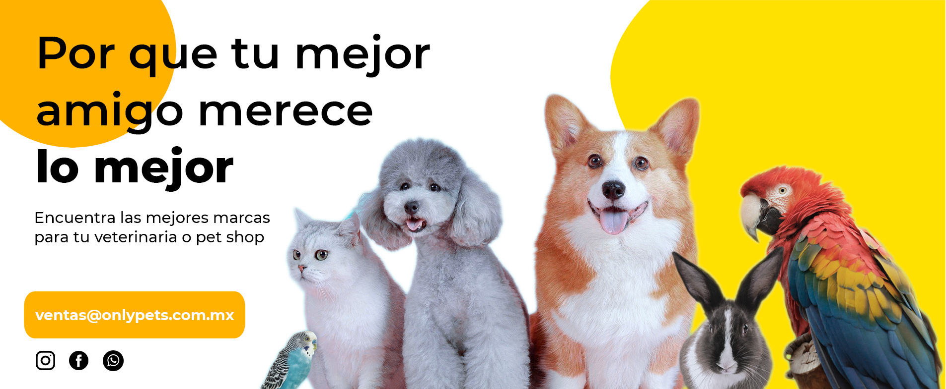 Only Pets | Por que tu mejor amigo merece lo mejor!